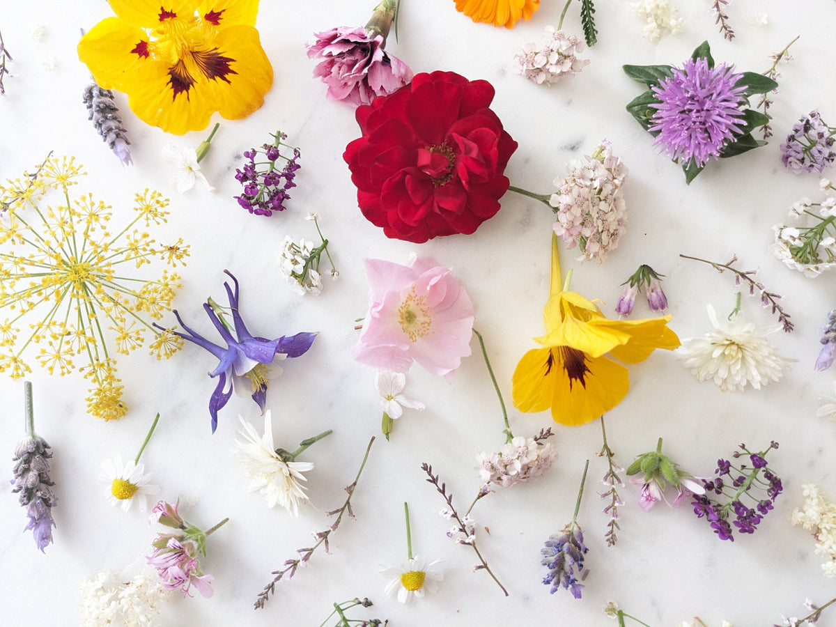 Flower Essences – Plant Curations